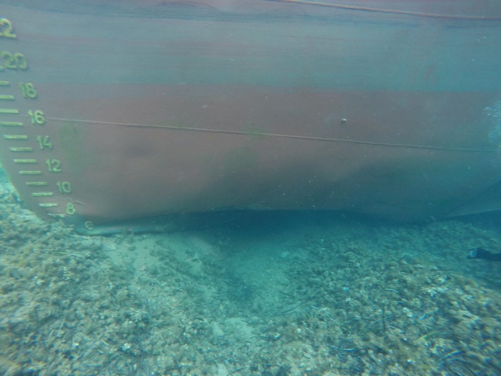 Renflouement du RHODANUS - Les Abeilles International